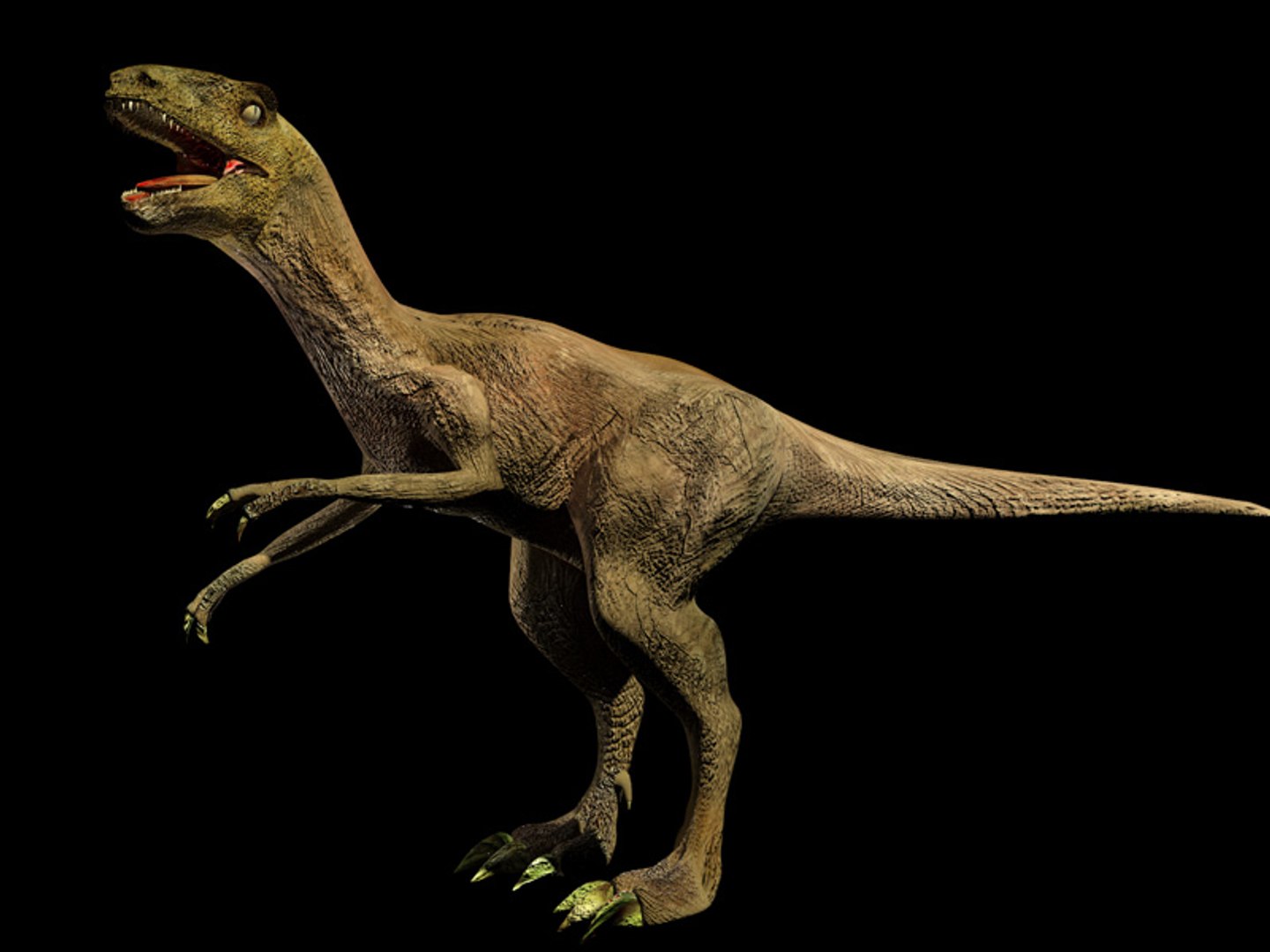 3d Velociraptor Raptor