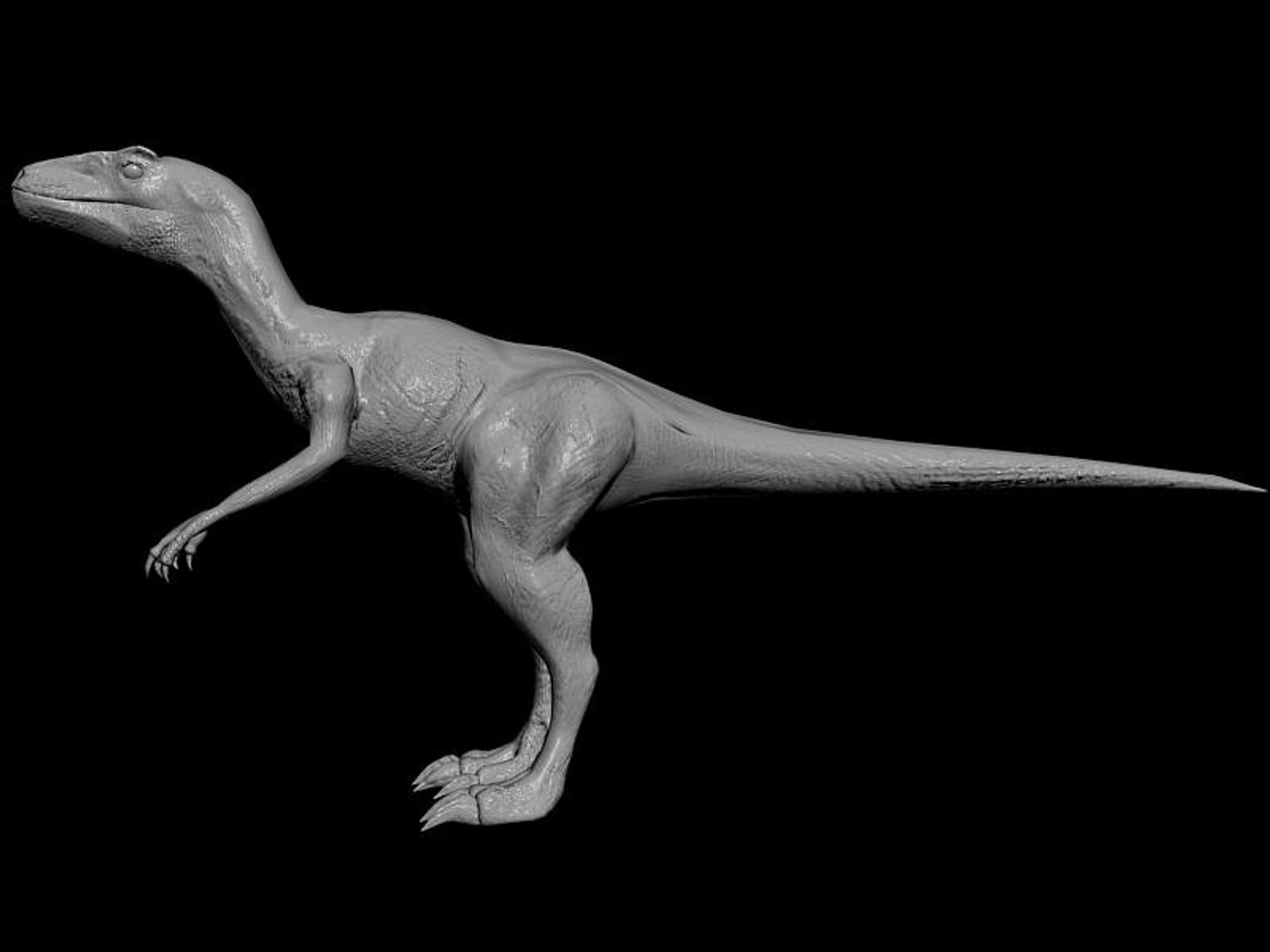 3d Velociraptor Raptor