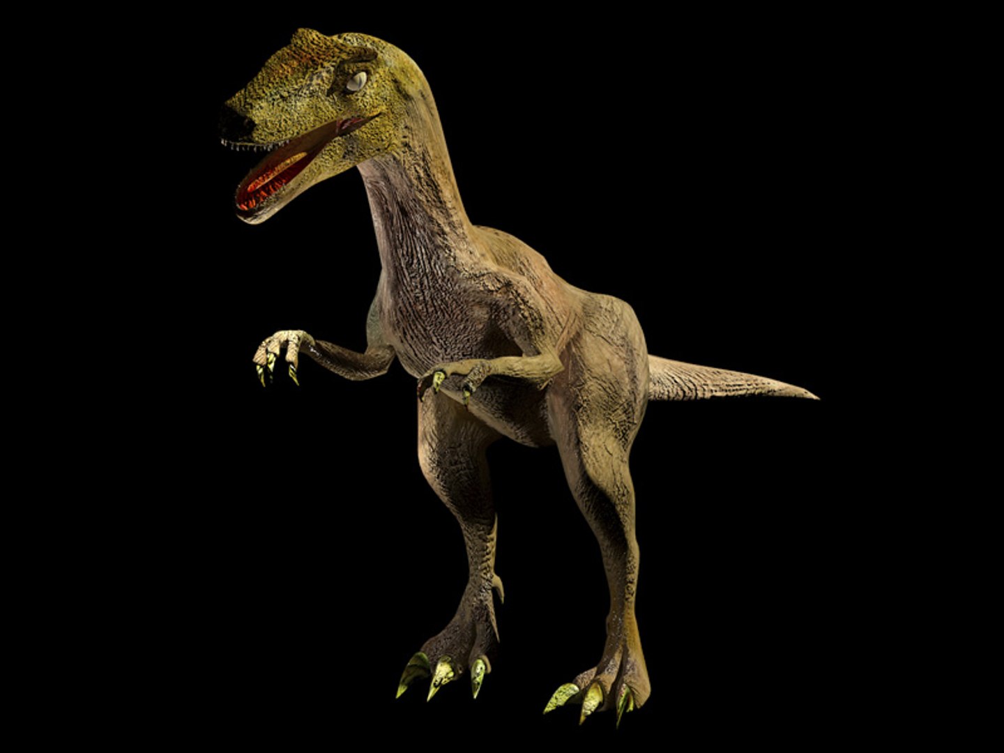 3d Velociraptor Raptor
