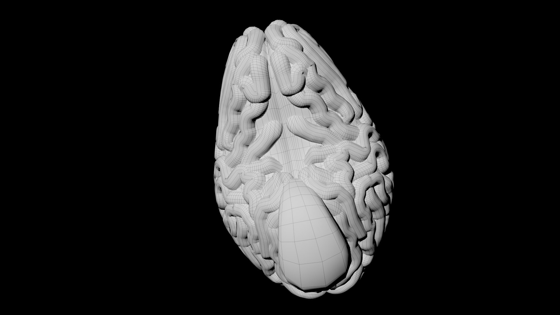 Brain 3D Model - TurboSquid 2167949