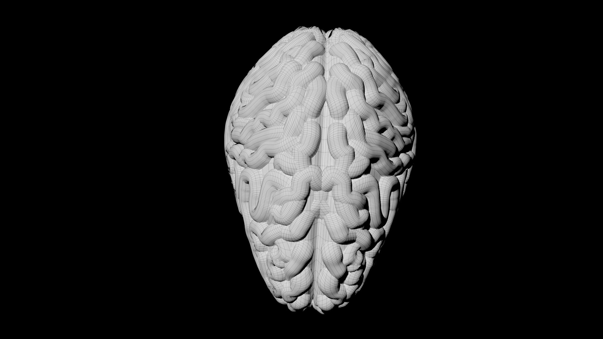Brain 3D Model - TurboSquid 2167949