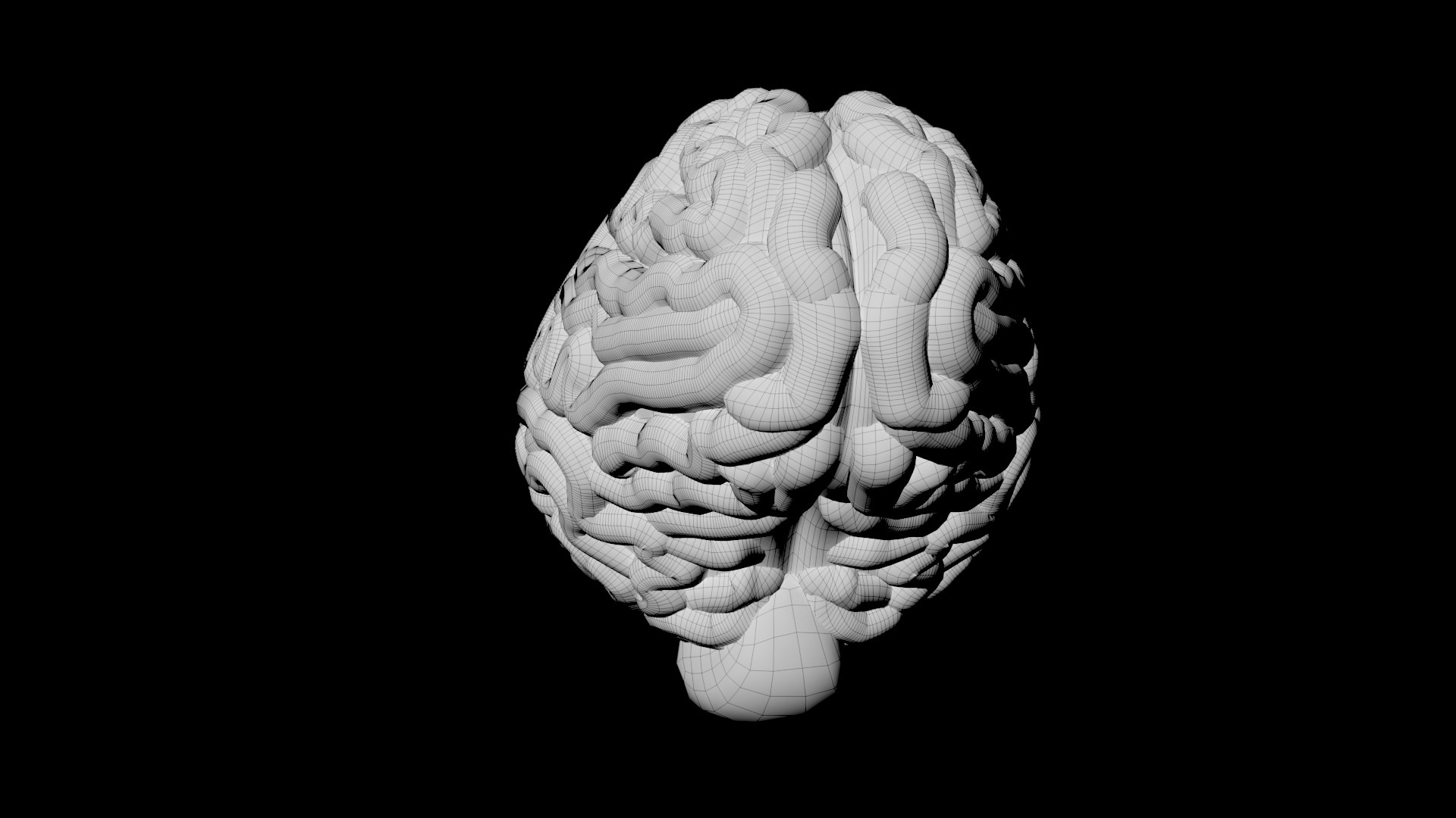 Brain 3D Model - TurboSquid 2167949