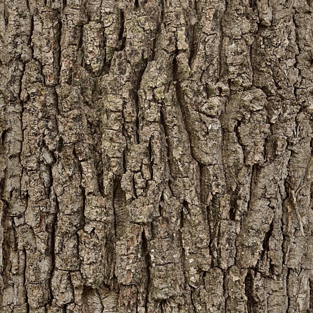 Lowpoly Tree 3D Model - TurboSquid 2023400