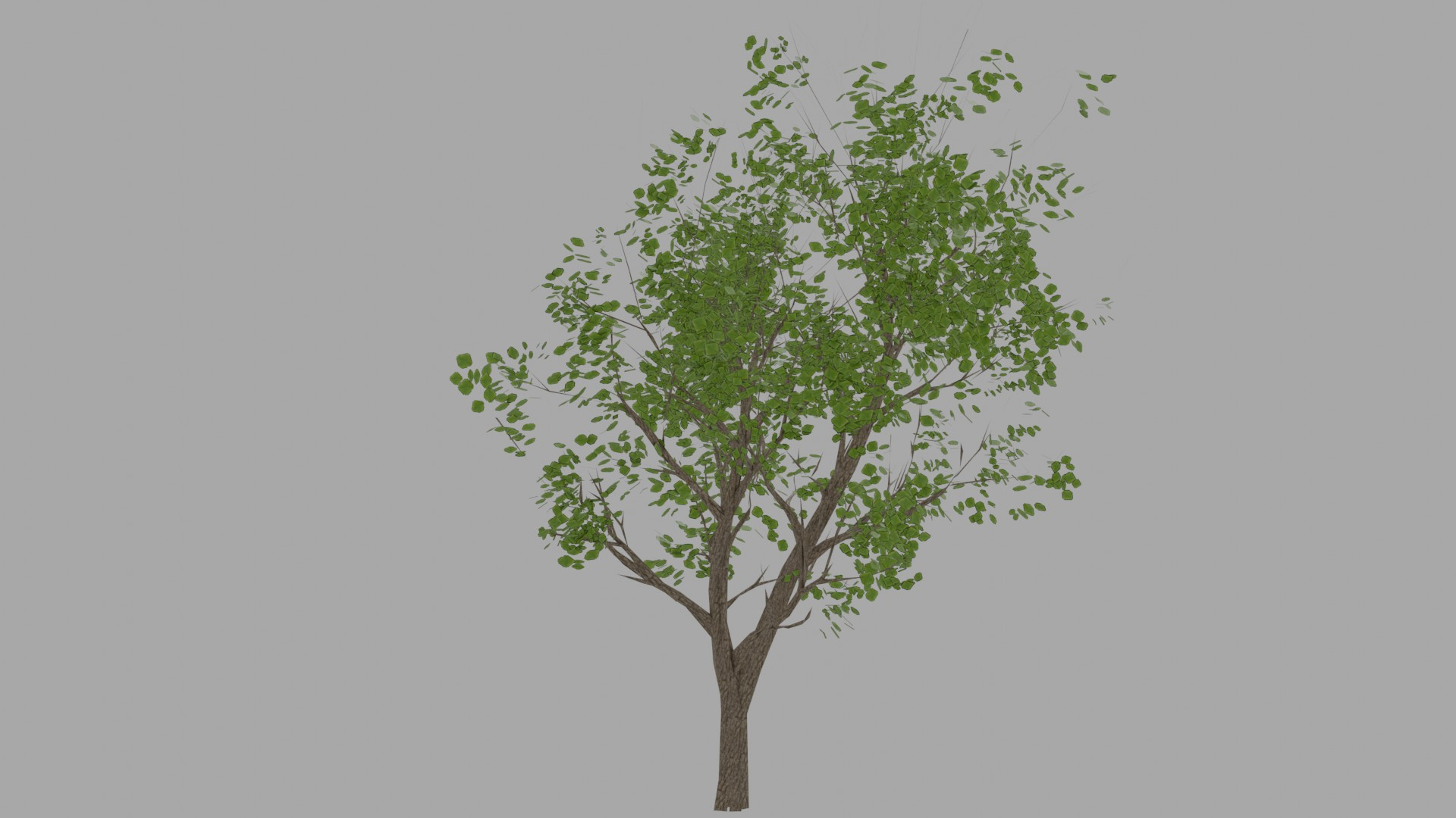 Lowpoly Tree 3D Model - TurboSquid 2023400