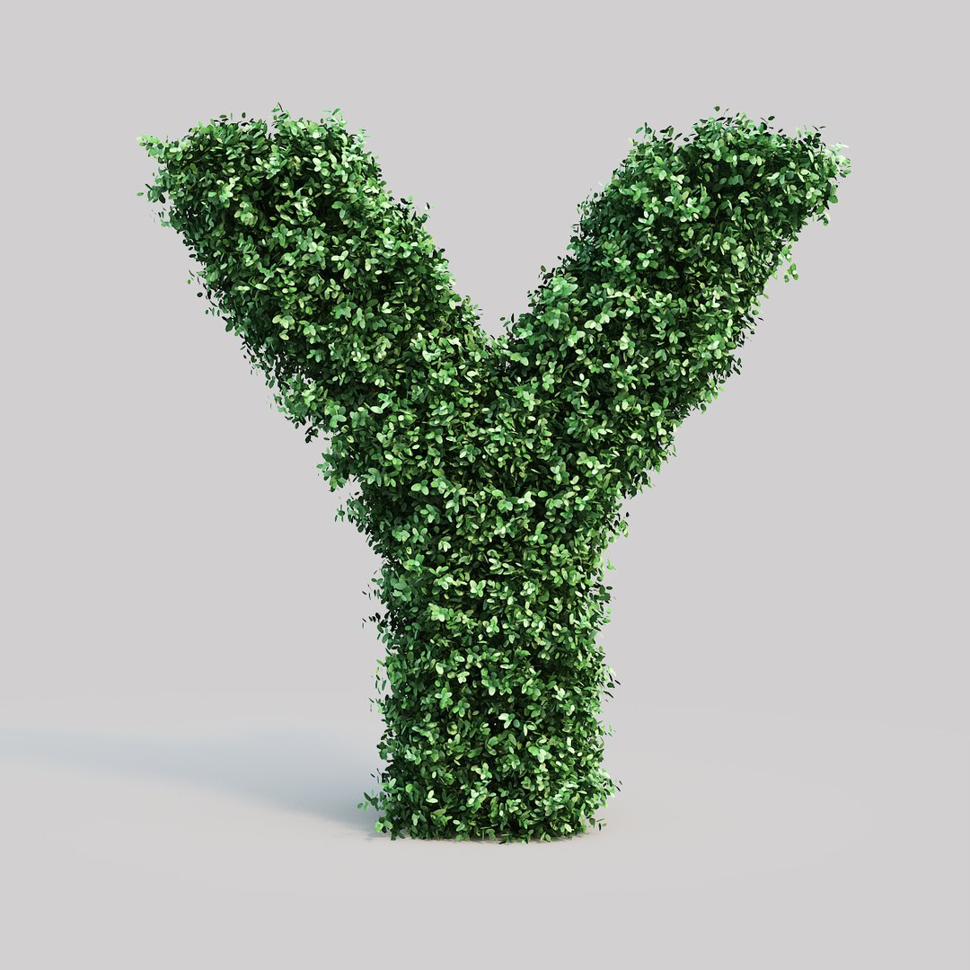 alphabet y buxus max