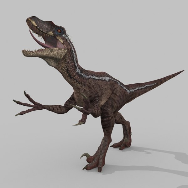 Raptor - 3D model - TurboSquid 1709170