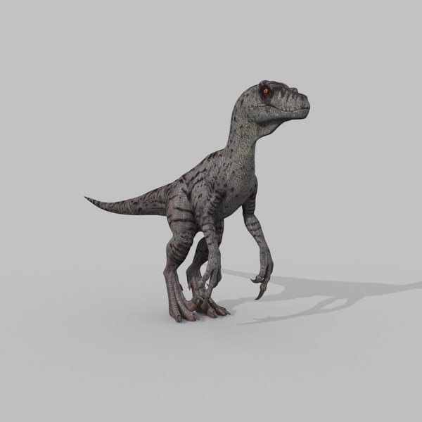 Raptor - 3D model - TurboSquid 1709170