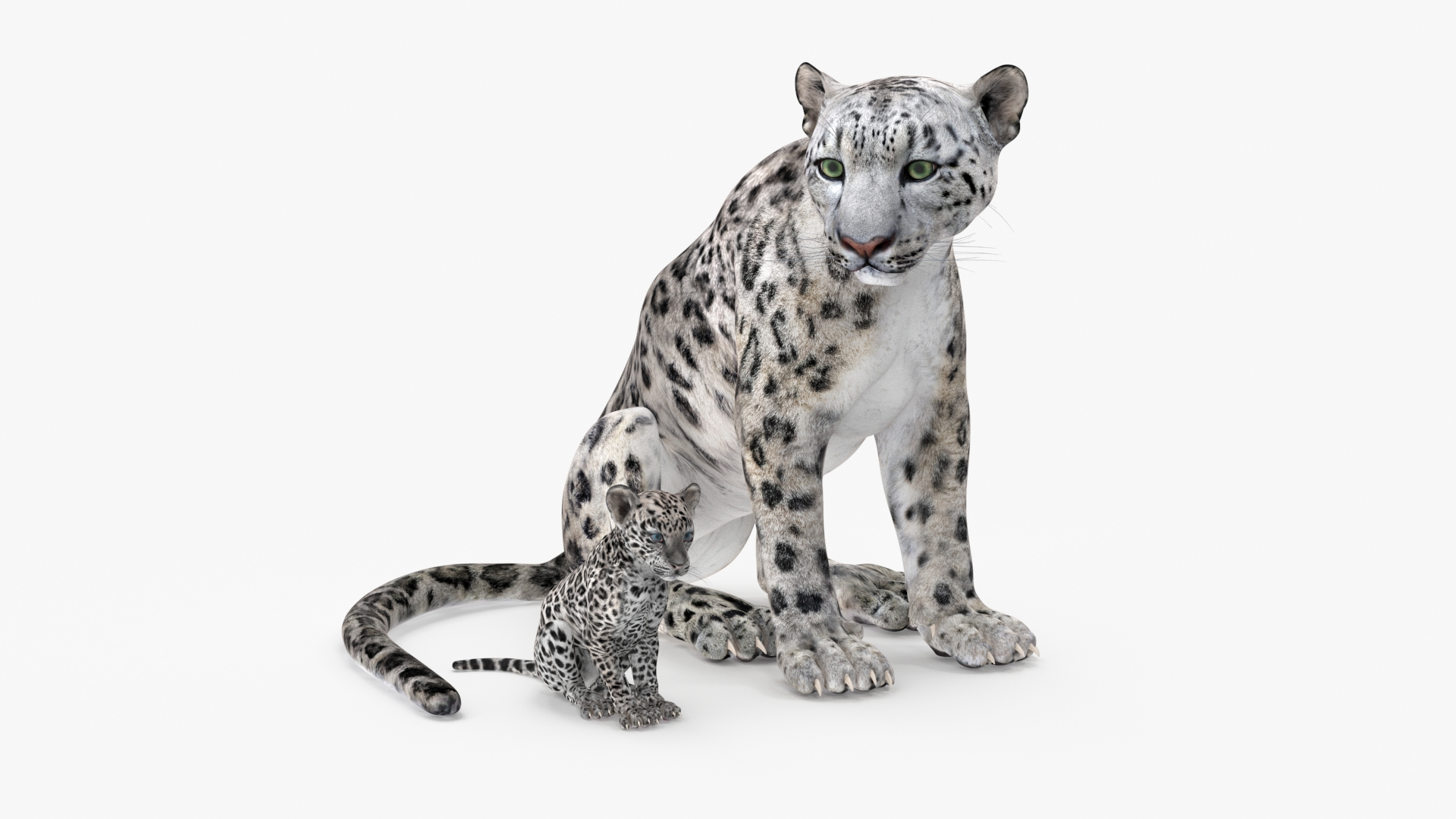 Mother And Baby Snow Leopard 3D Model - TurboSquid 2335568