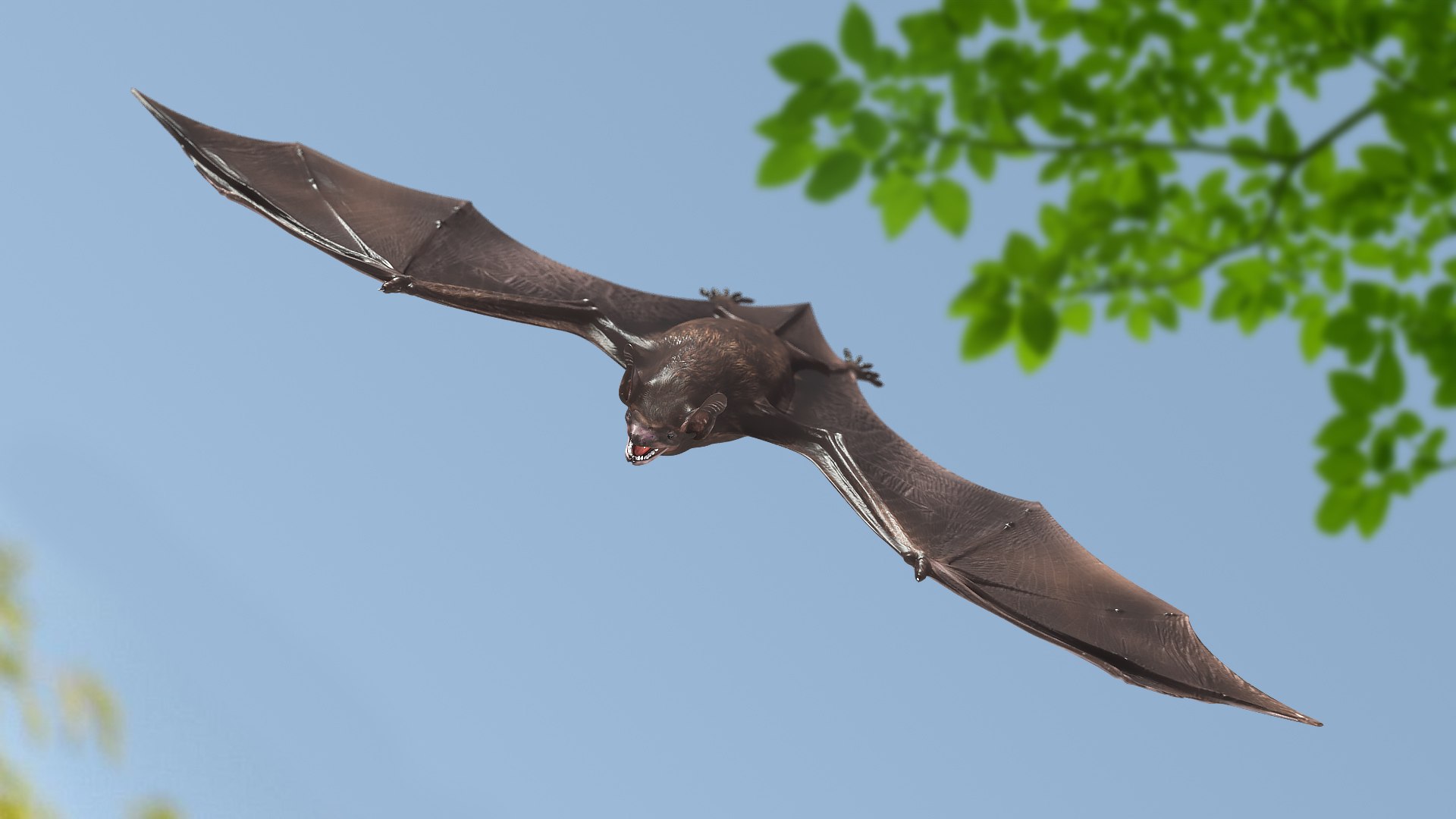 3D Black Bat - TurboSquid 1856423