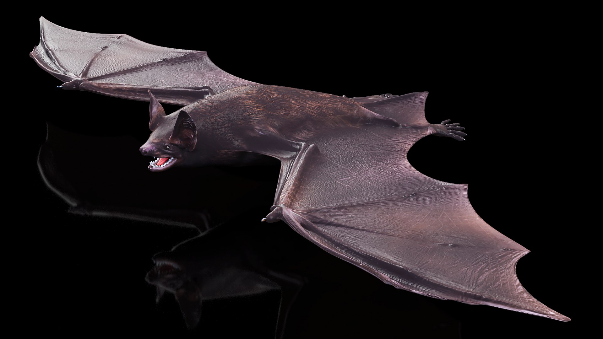 3D Black Bat - TurboSquid 1856423