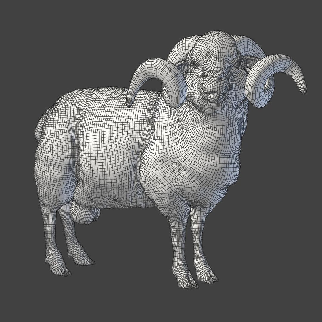 3d Sculpture Ram Model