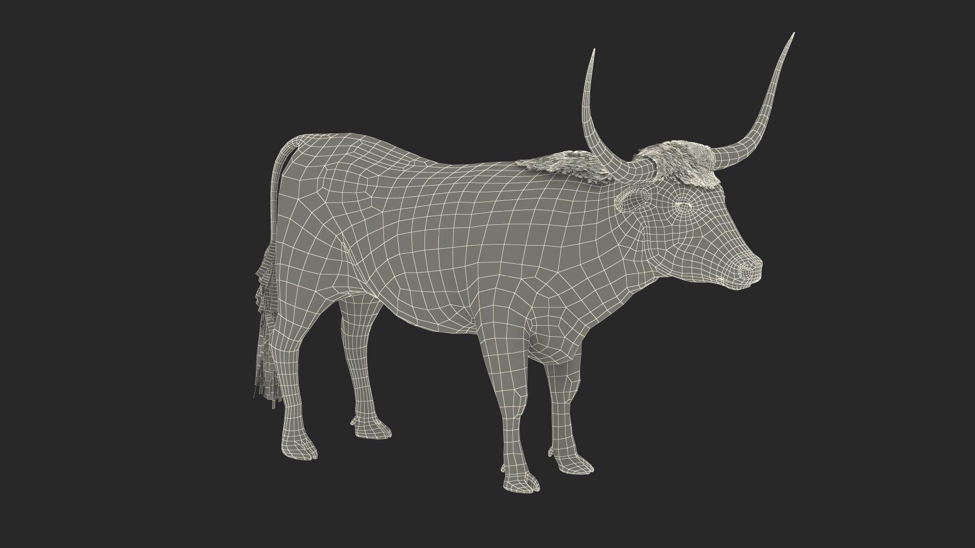 3D Texas Longhorn Mottled Brown Rigged For Cinema 4D Model - TurboSquid ...