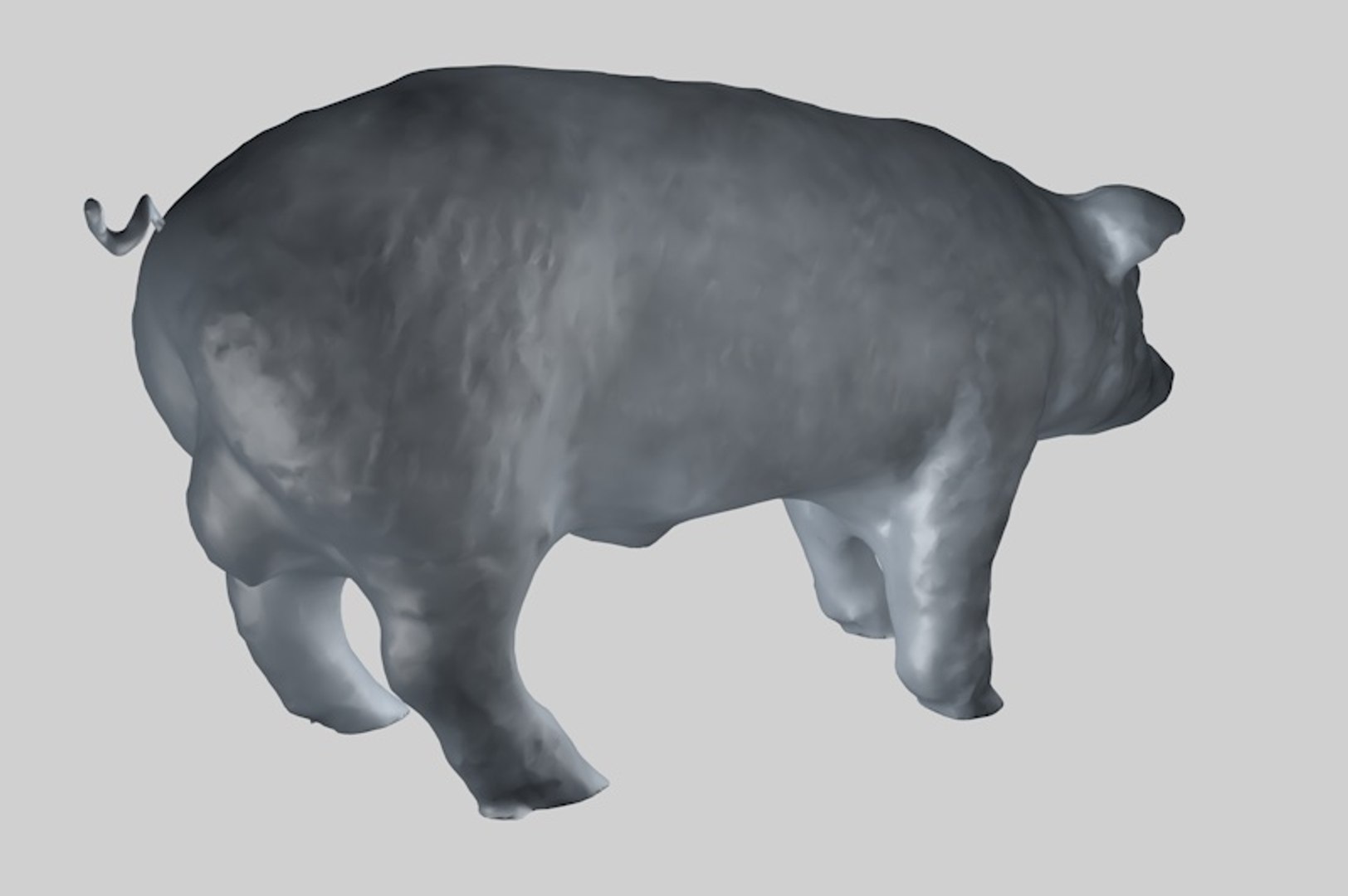 3d Pig Base Mesh