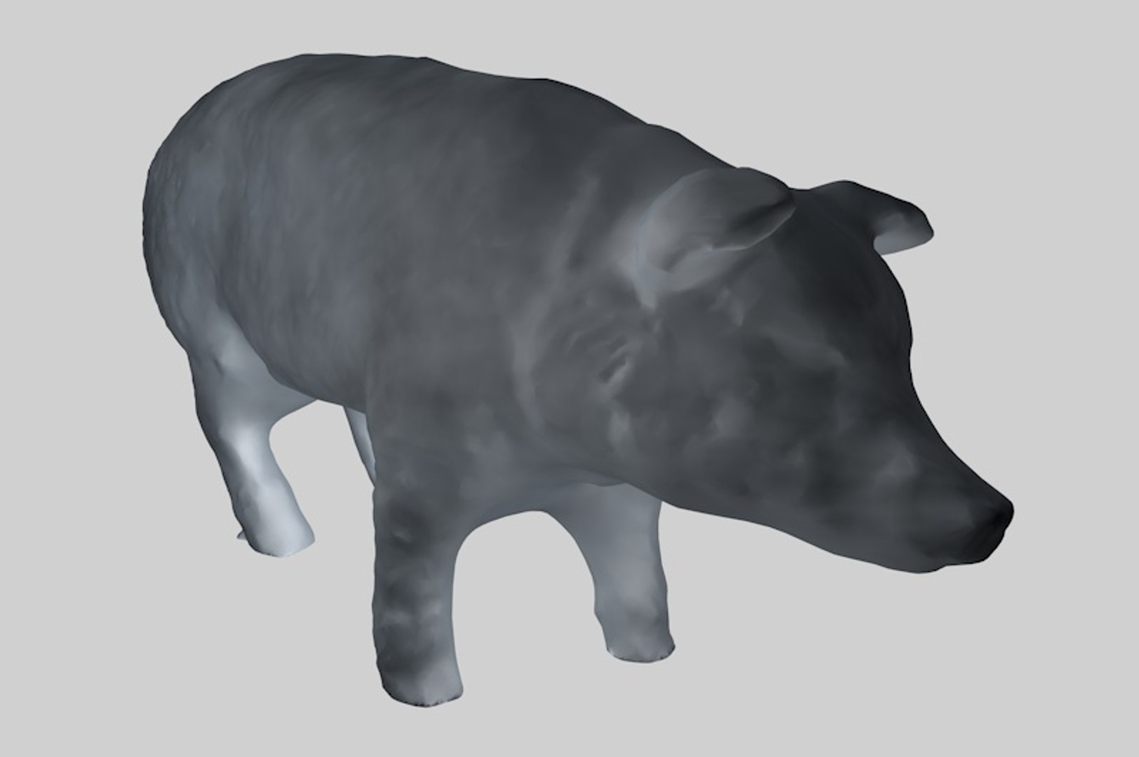 3d Pig Base Mesh