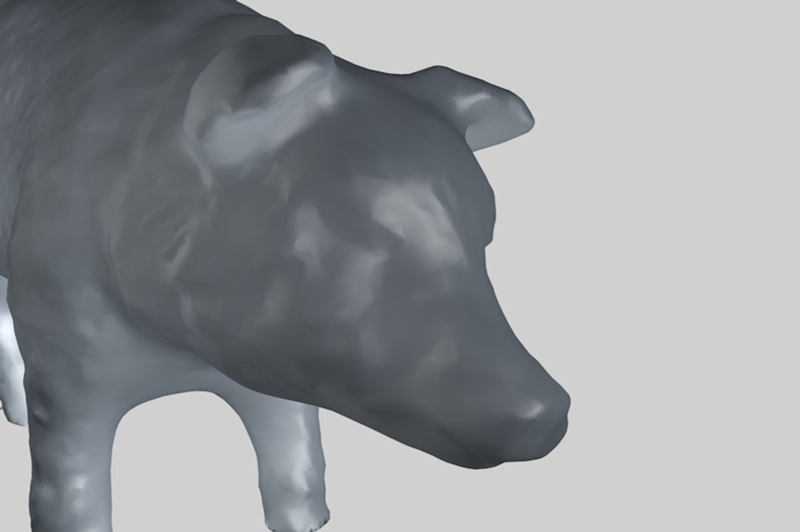 3d Pig Base Mesh