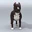 3d Model Pitbull Pit Bull