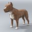 3d Model Pitbull Pit Bull