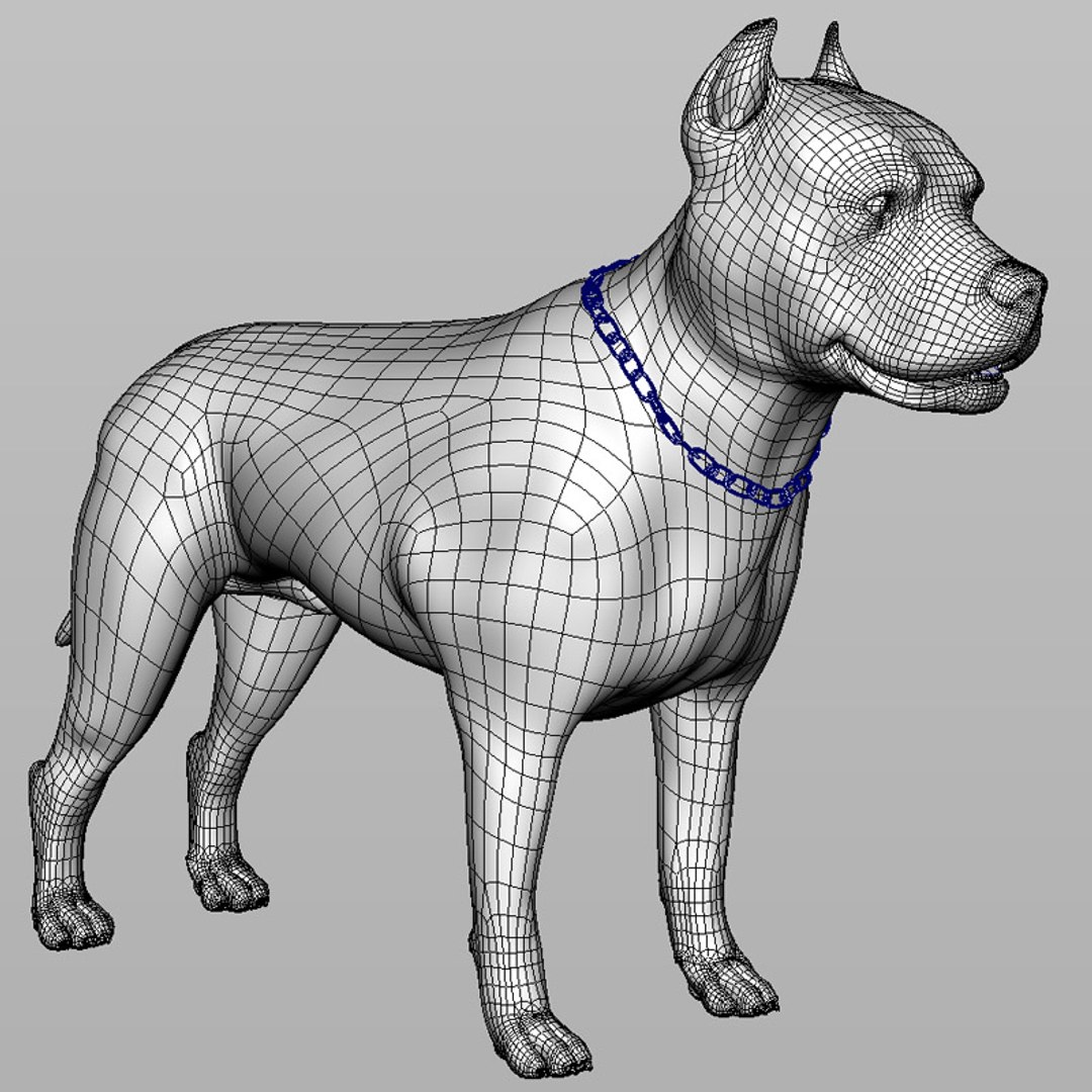 3d Model Pitbull Pit Bull