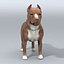 3d Model Pitbull Pit Bull