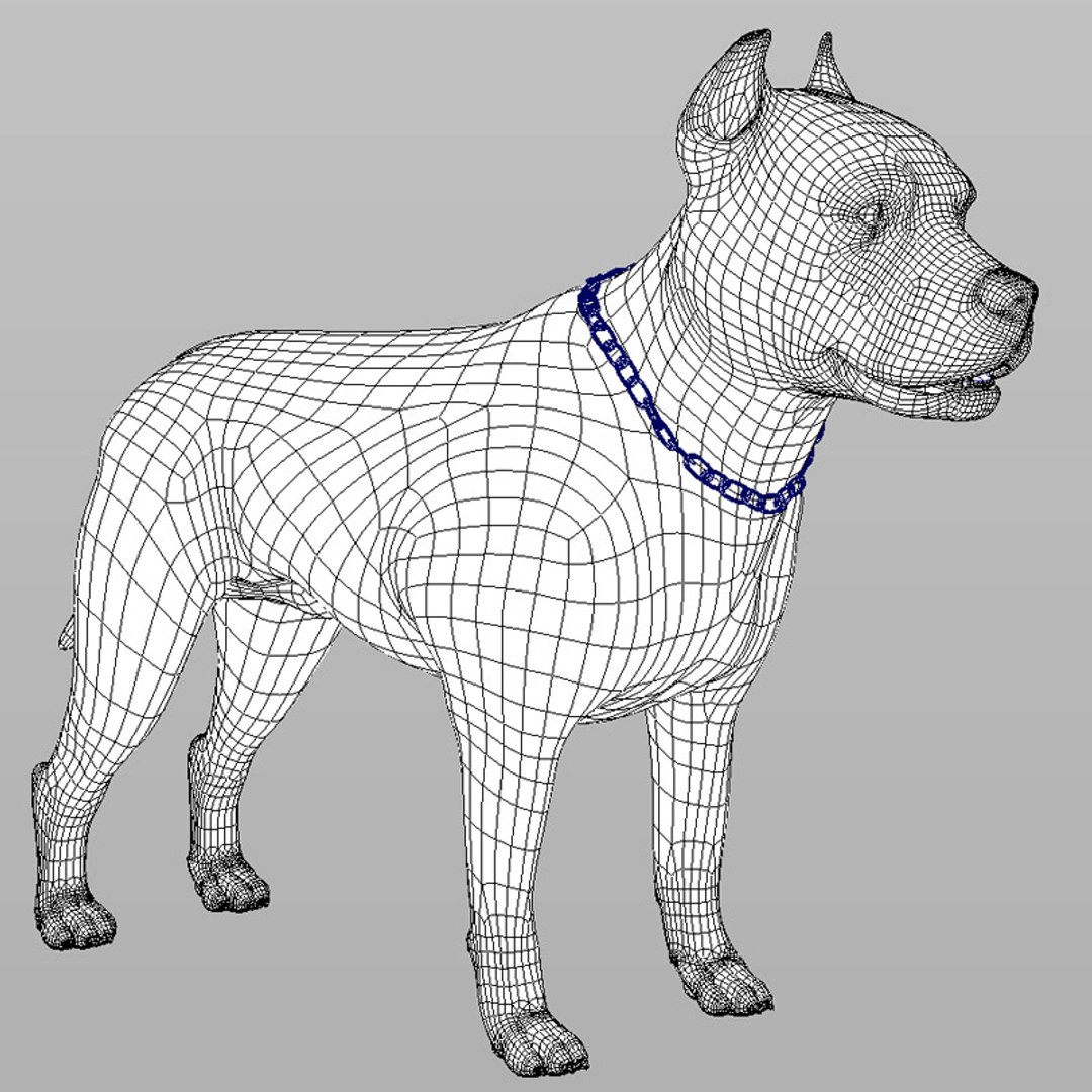 3d Model Pitbull Pit Bull