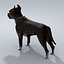 3d Model Pitbull Pit Bull