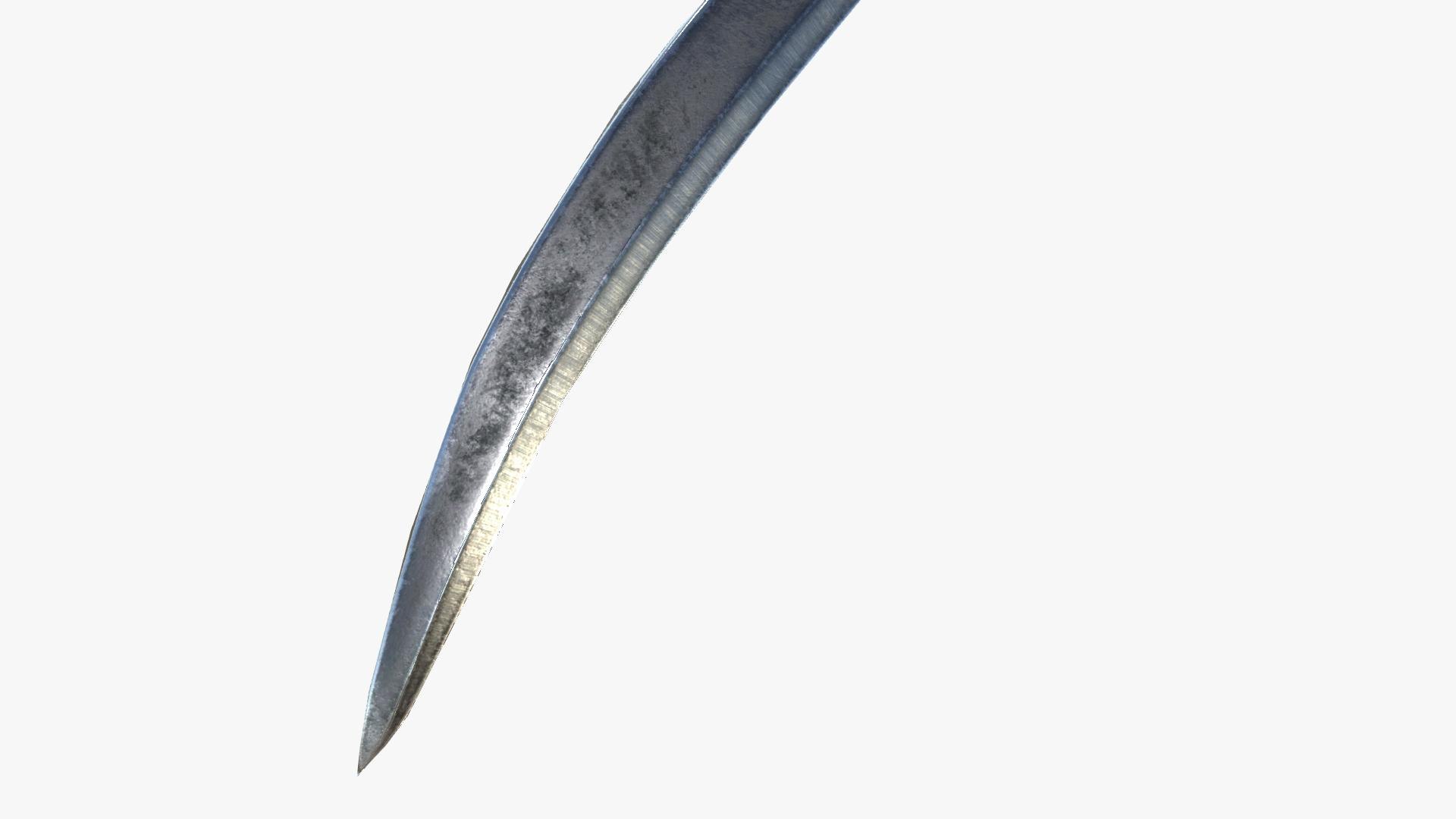 Fantasy Sword RPG Thracian Rhomphaia Dacian Falx Curved Blade Sword ...