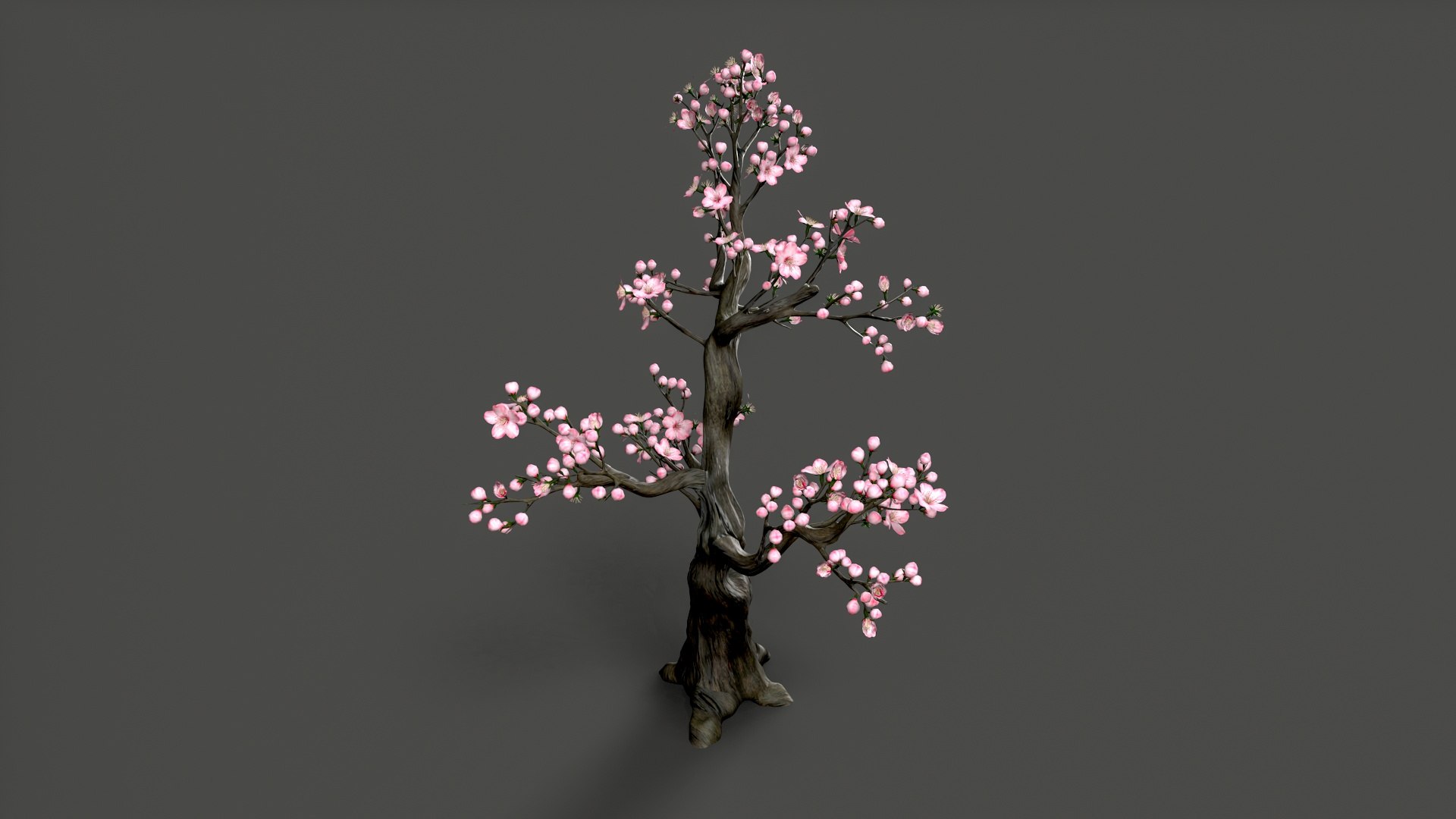 Peach Flowers Tree 3D Model - TurboSquid 2490779