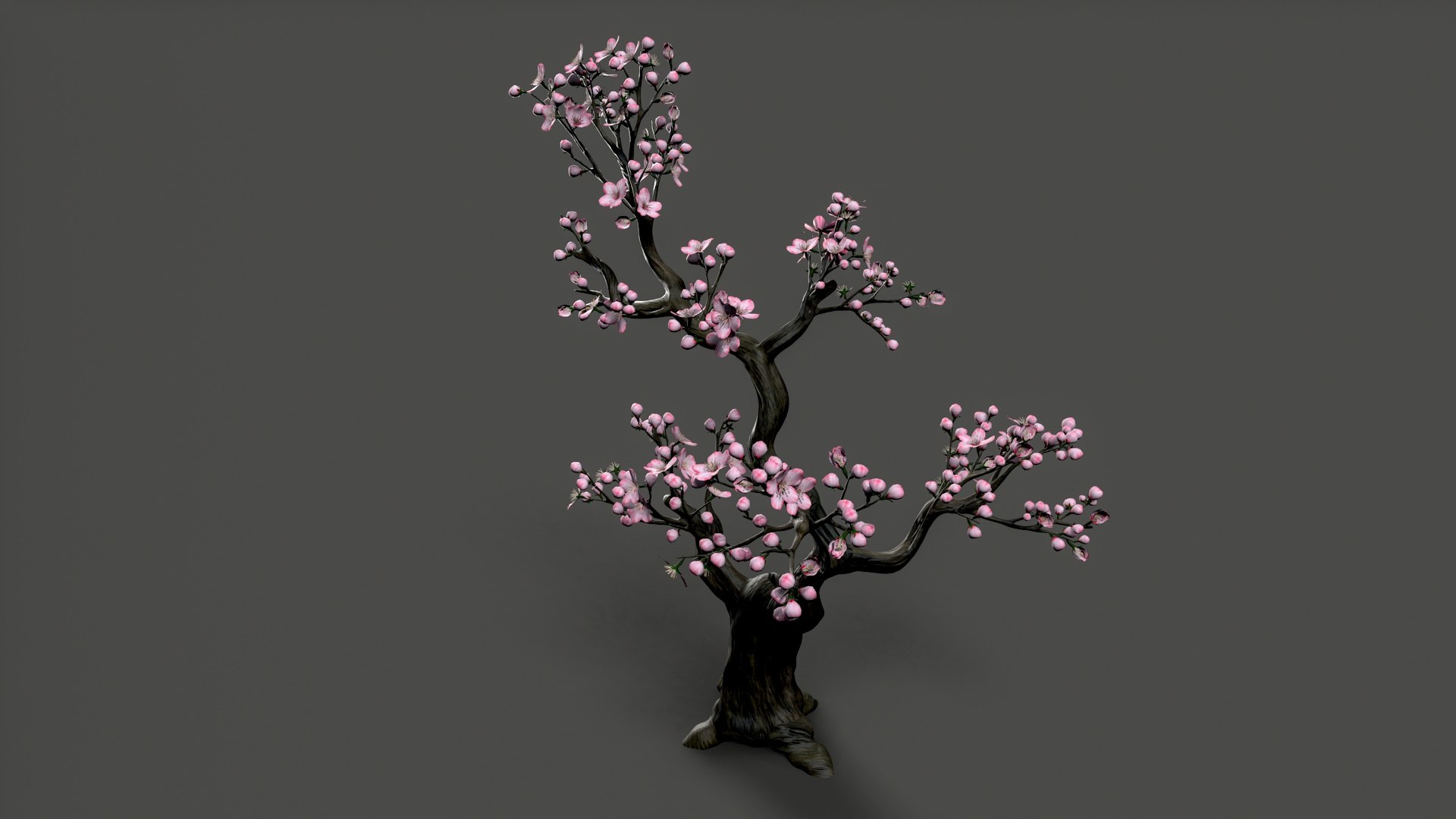 Peach Flowers Tree 3D Model - TurboSquid 2490779