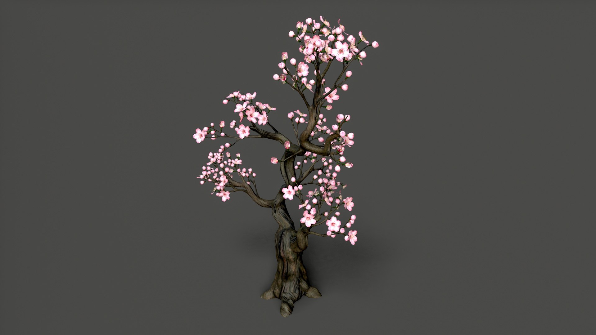 Peach Flowers Tree 3D Model - TurboSquid 2490779