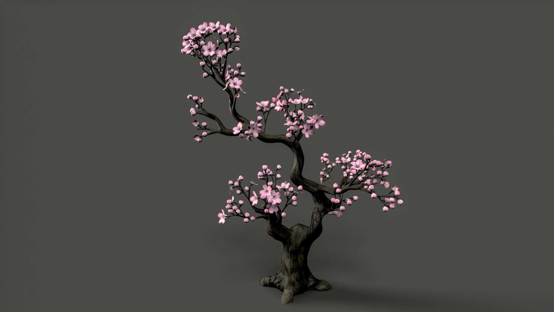 Peach Flowers Tree 3D Model - TurboSquid 2490779