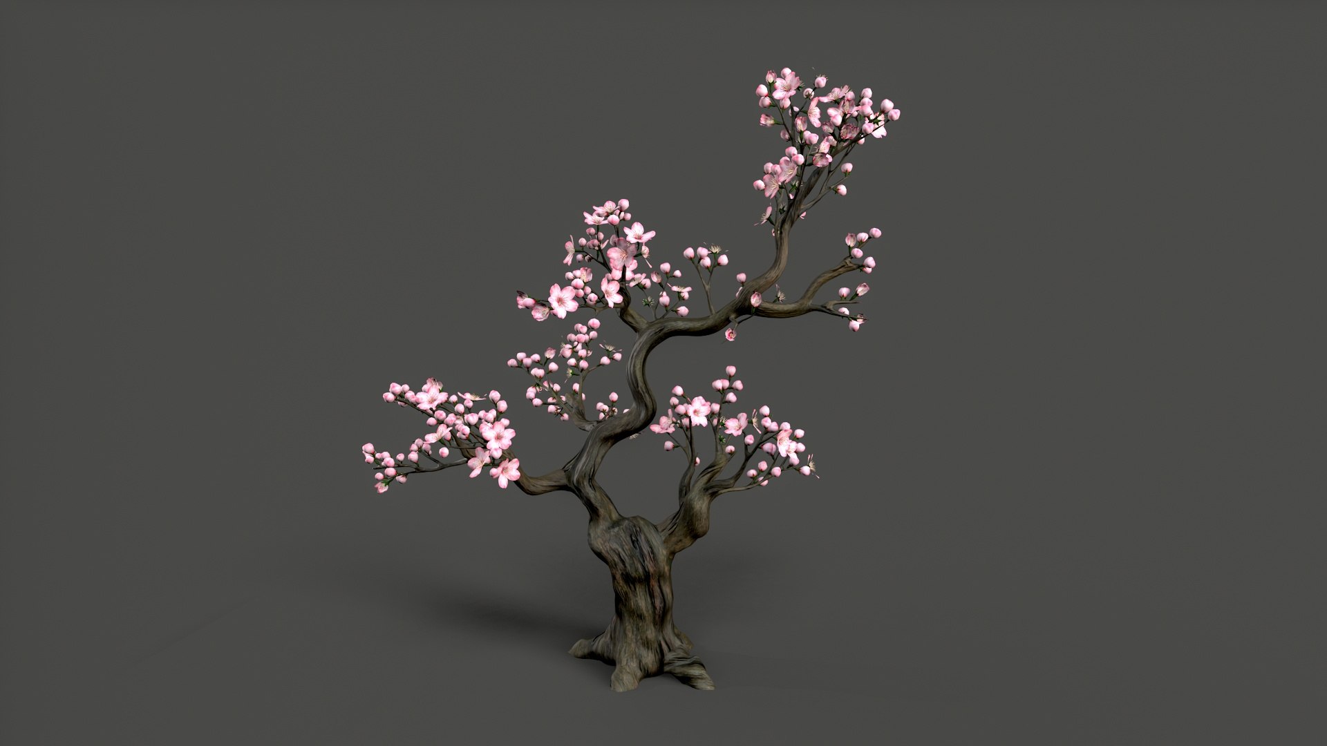 Peach Flowers Tree 3D Model - TurboSquid 2490779
