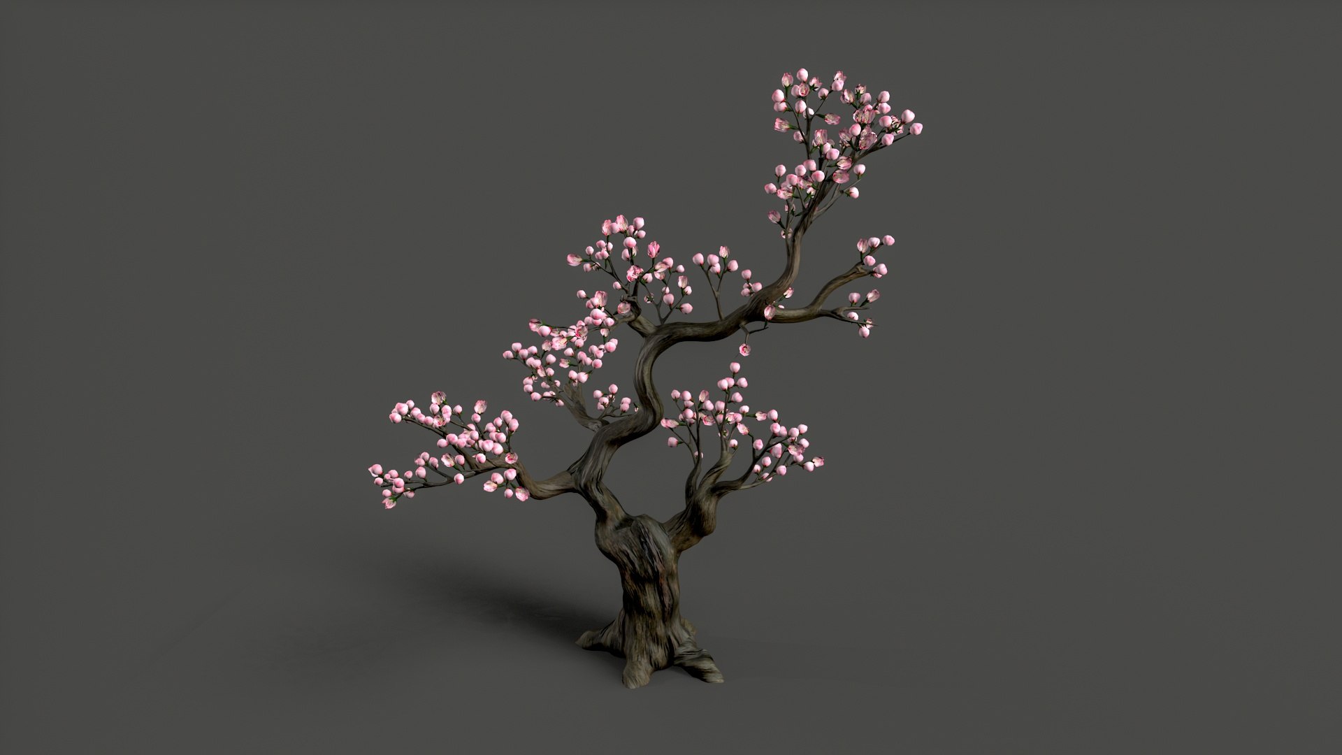 Peach Flowers Tree 3D Model - TurboSquid 2490779