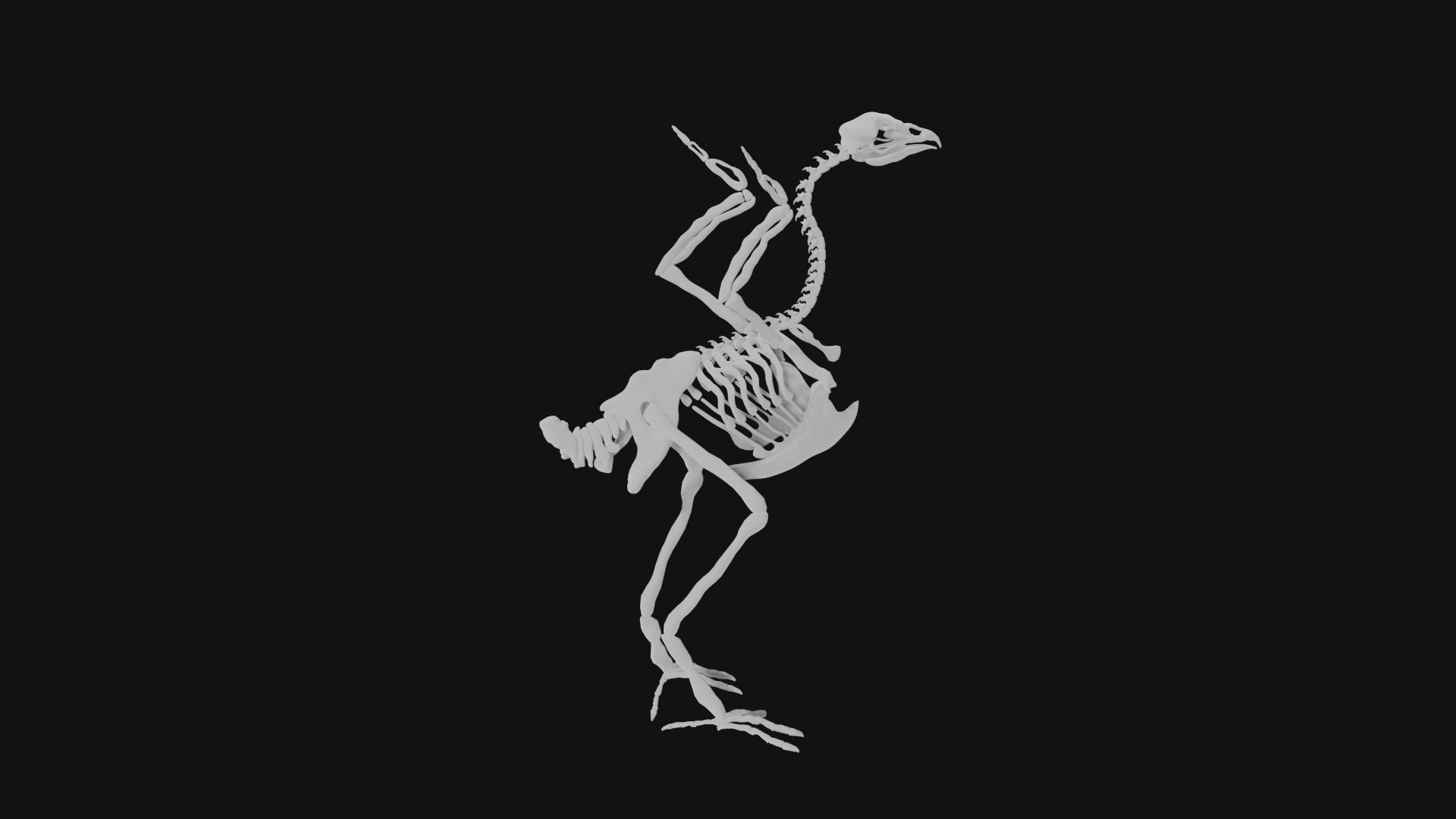 3D Turkey Skeleton - TurboSquid 1986110