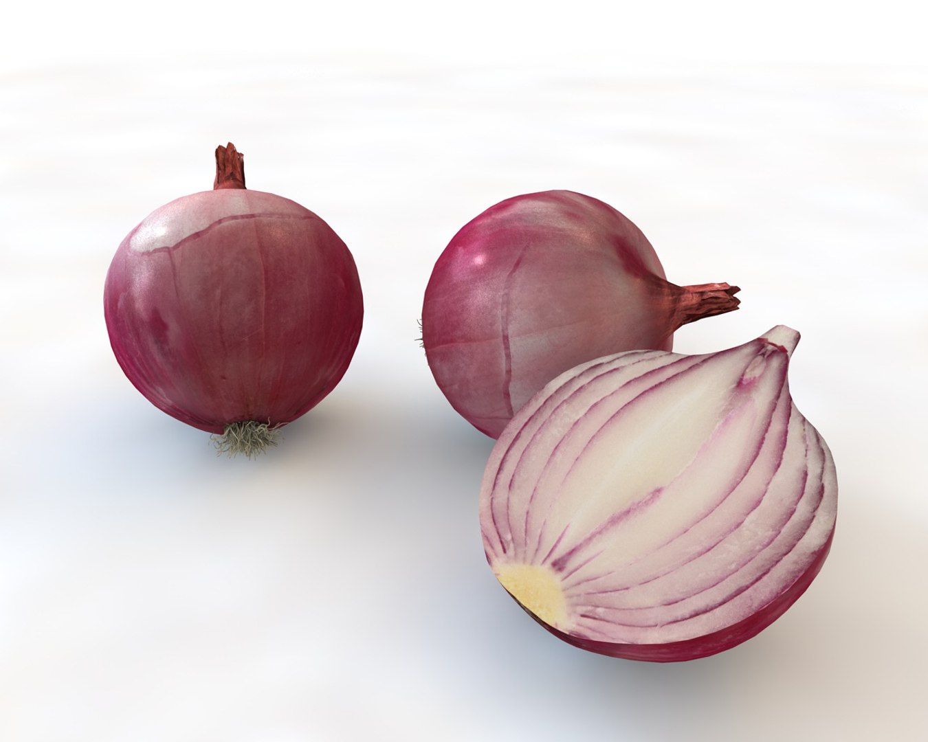 3D Model Onion - TurboSquid 1544566