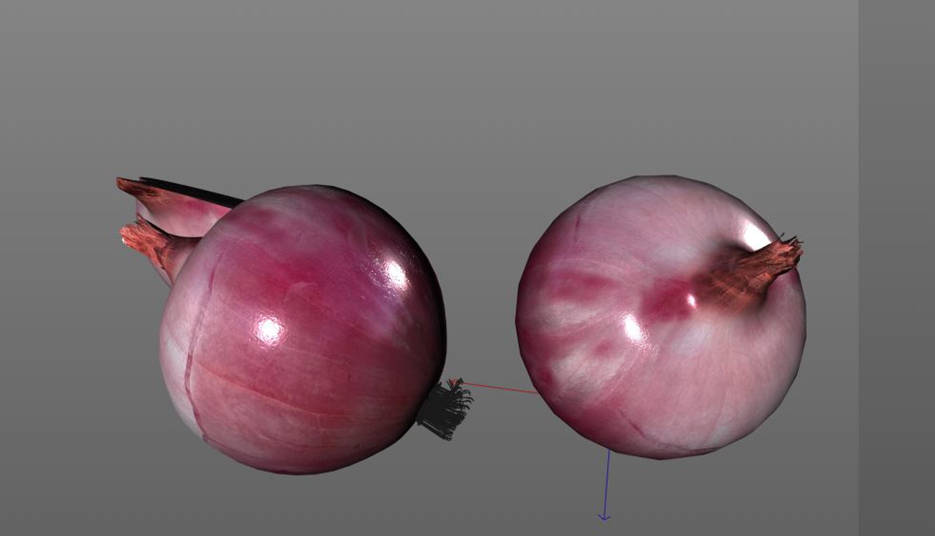 3D Model Onion - TurboSquid 1544566