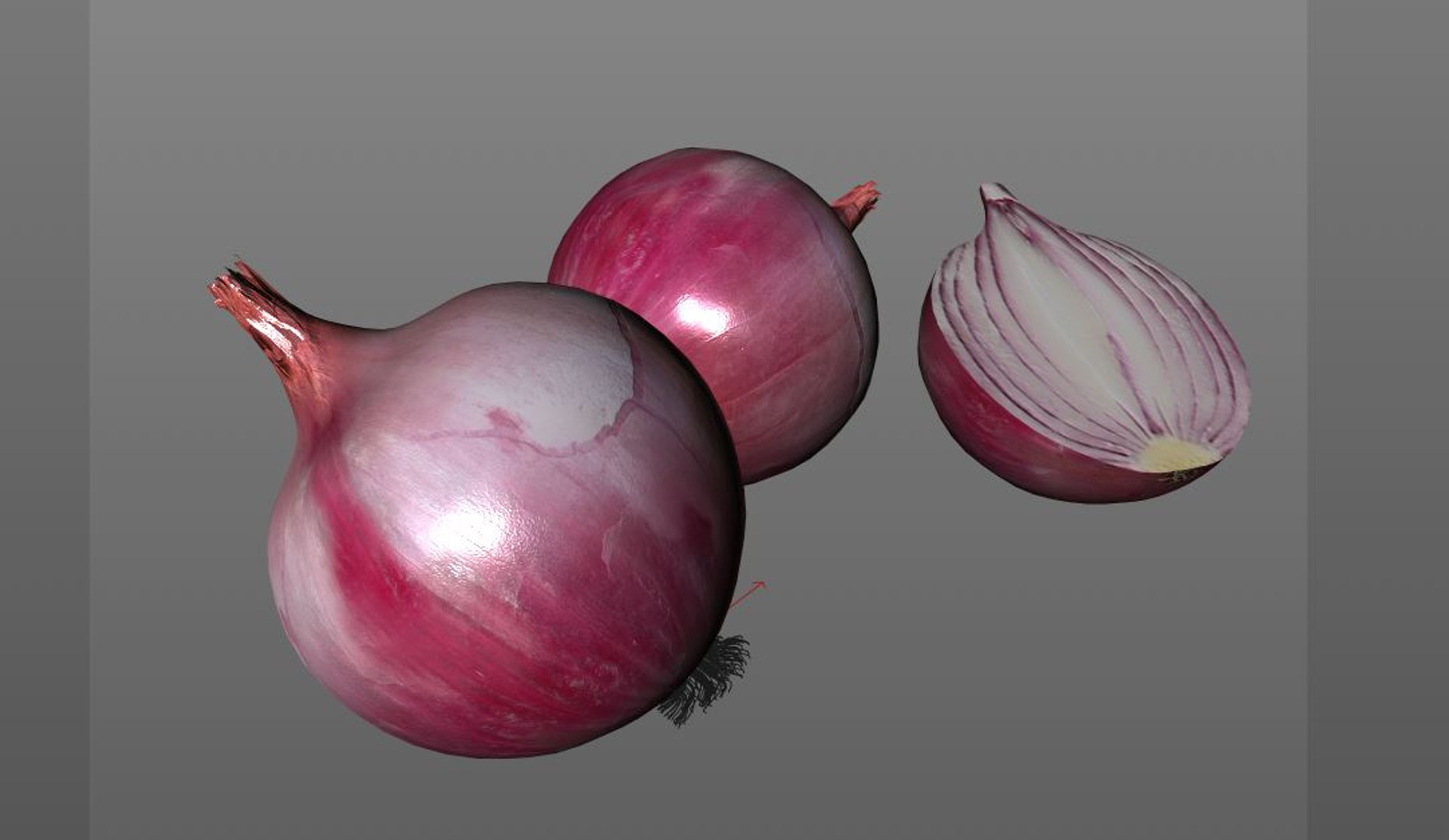3D Model Onion - TurboSquid 1544566