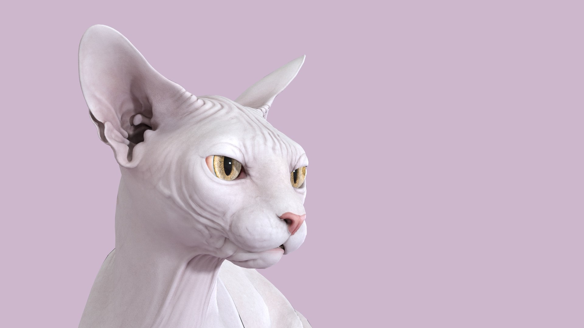 Sphynx Cat White Animated 3D - TurboSquid 1715854
