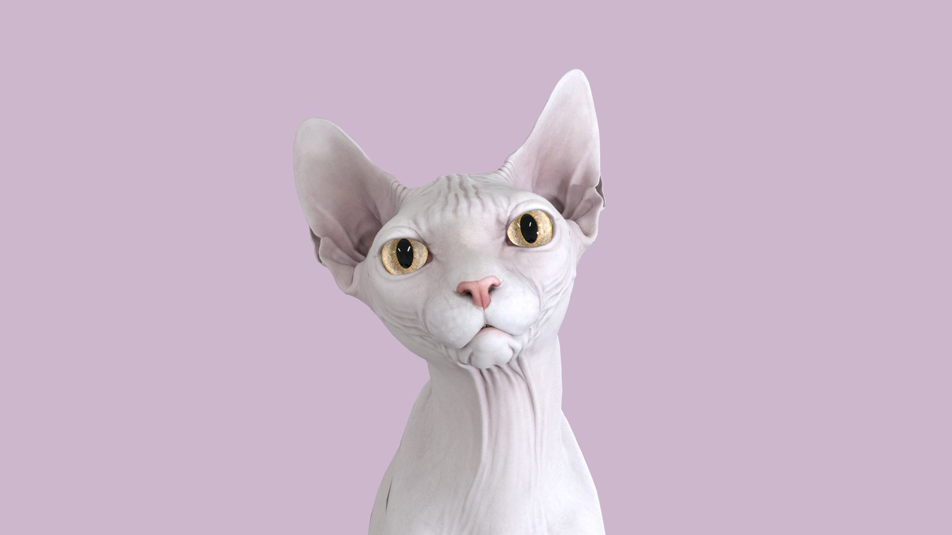 Sphynx Cat White Animated 3D - TurboSquid 1715854