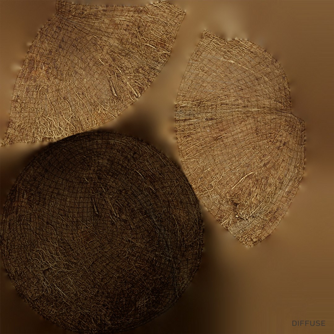 Realistic coconut 01 3D model - TurboSquid 1466465