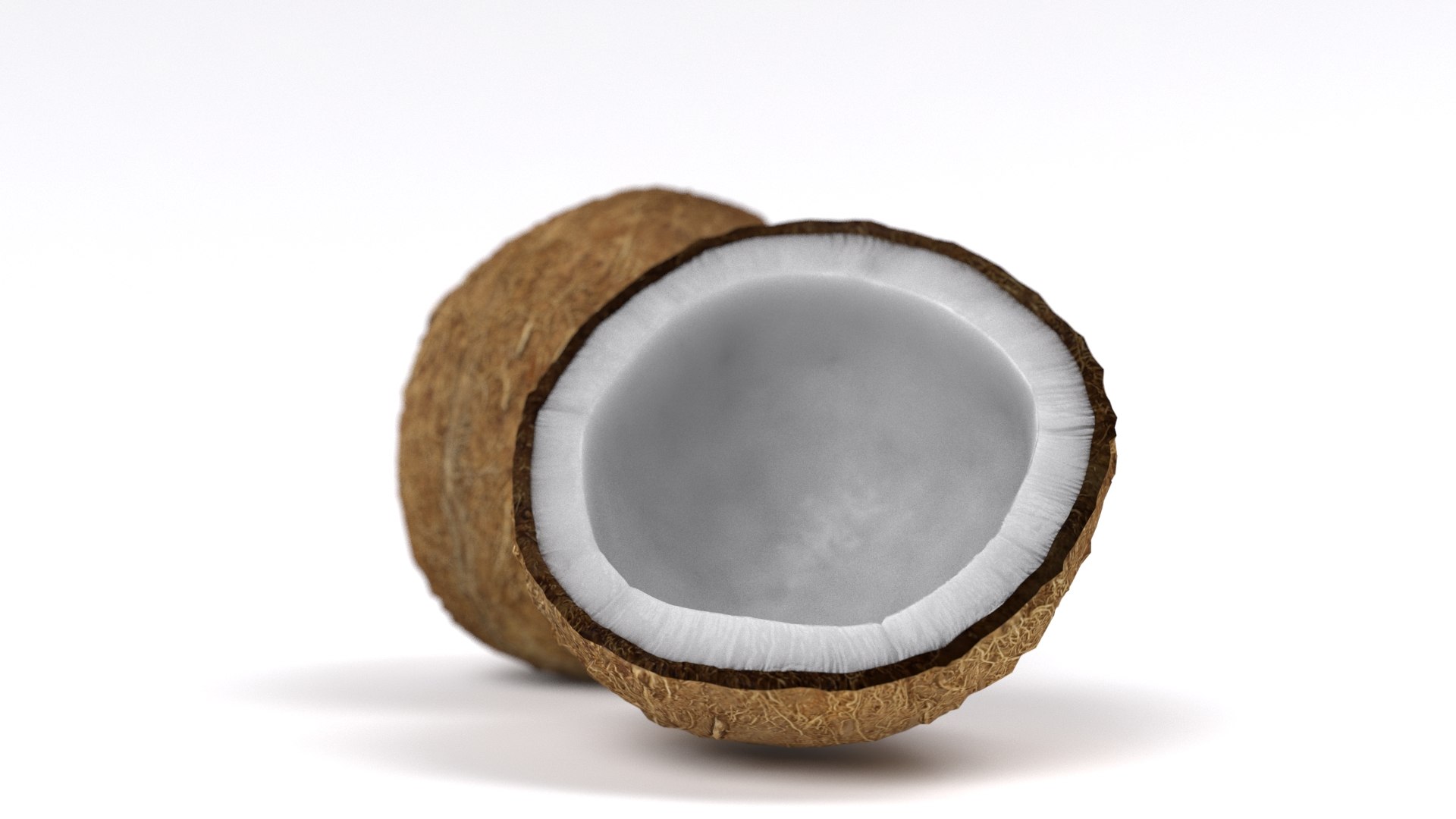 Realistic coconut 01 3D model - TurboSquid 1466465