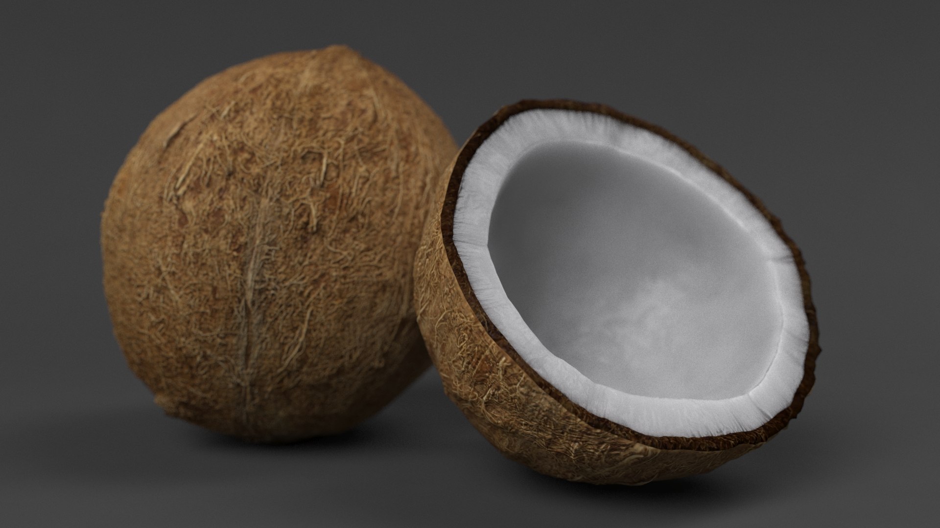 Realistic coconut 01 3D model - TurboSquid 1466465