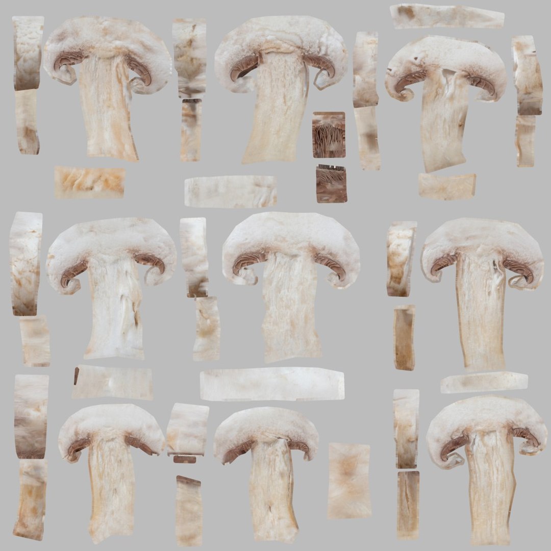 Champignon Mushroom Slice 3D Model - TurboSquid 2049638