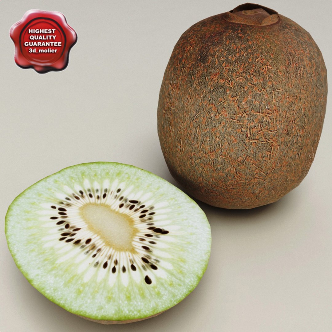3d Kiwi Modelled