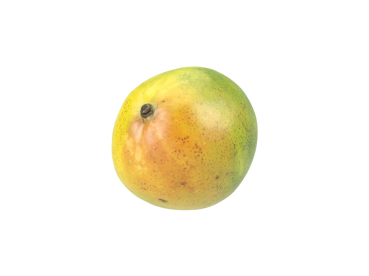 Photorealistic Scanned Mango 3D Model - TurboSquid 1335400