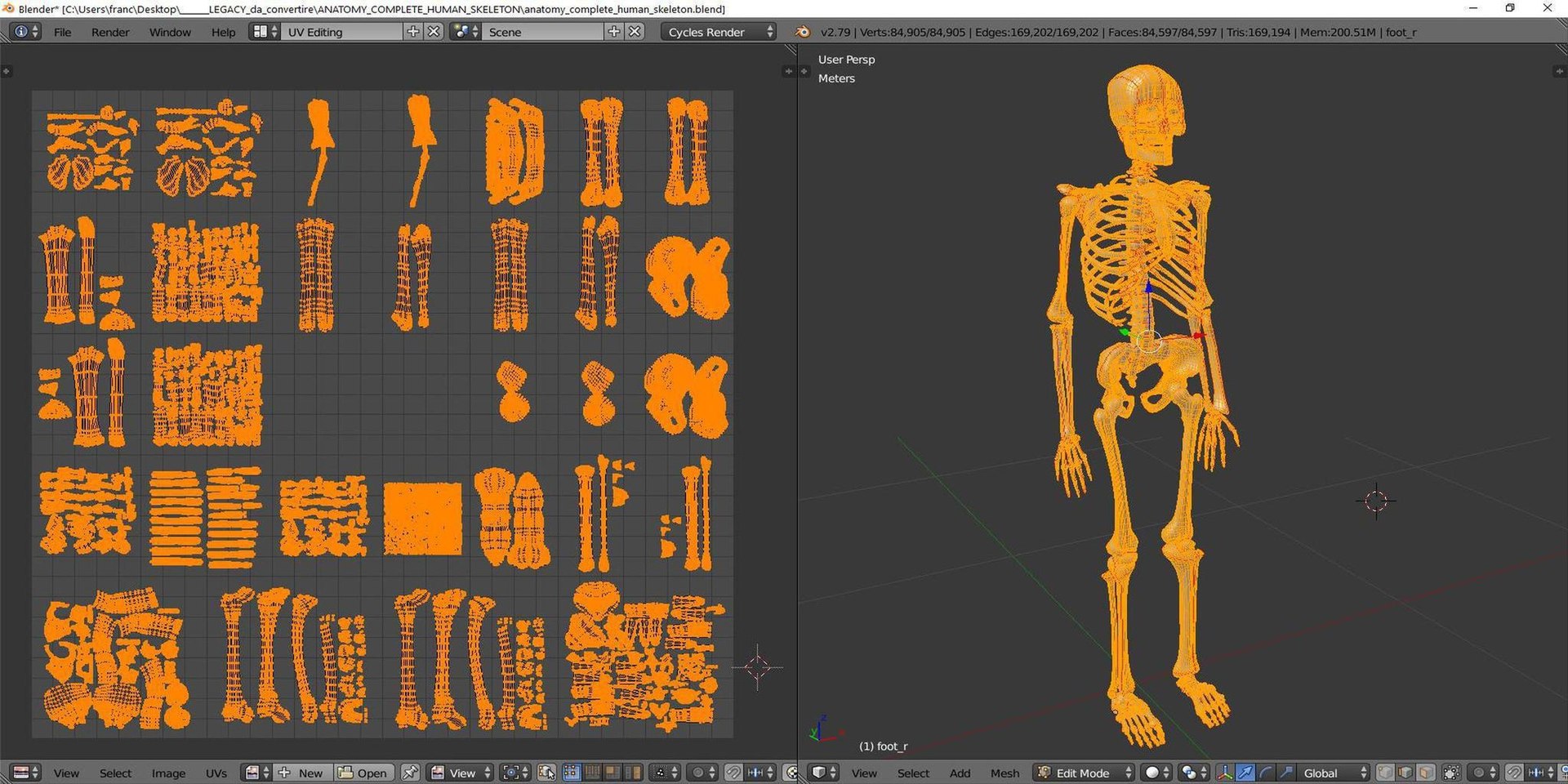 Complete Human Bones Model - TurboSquid 1177789