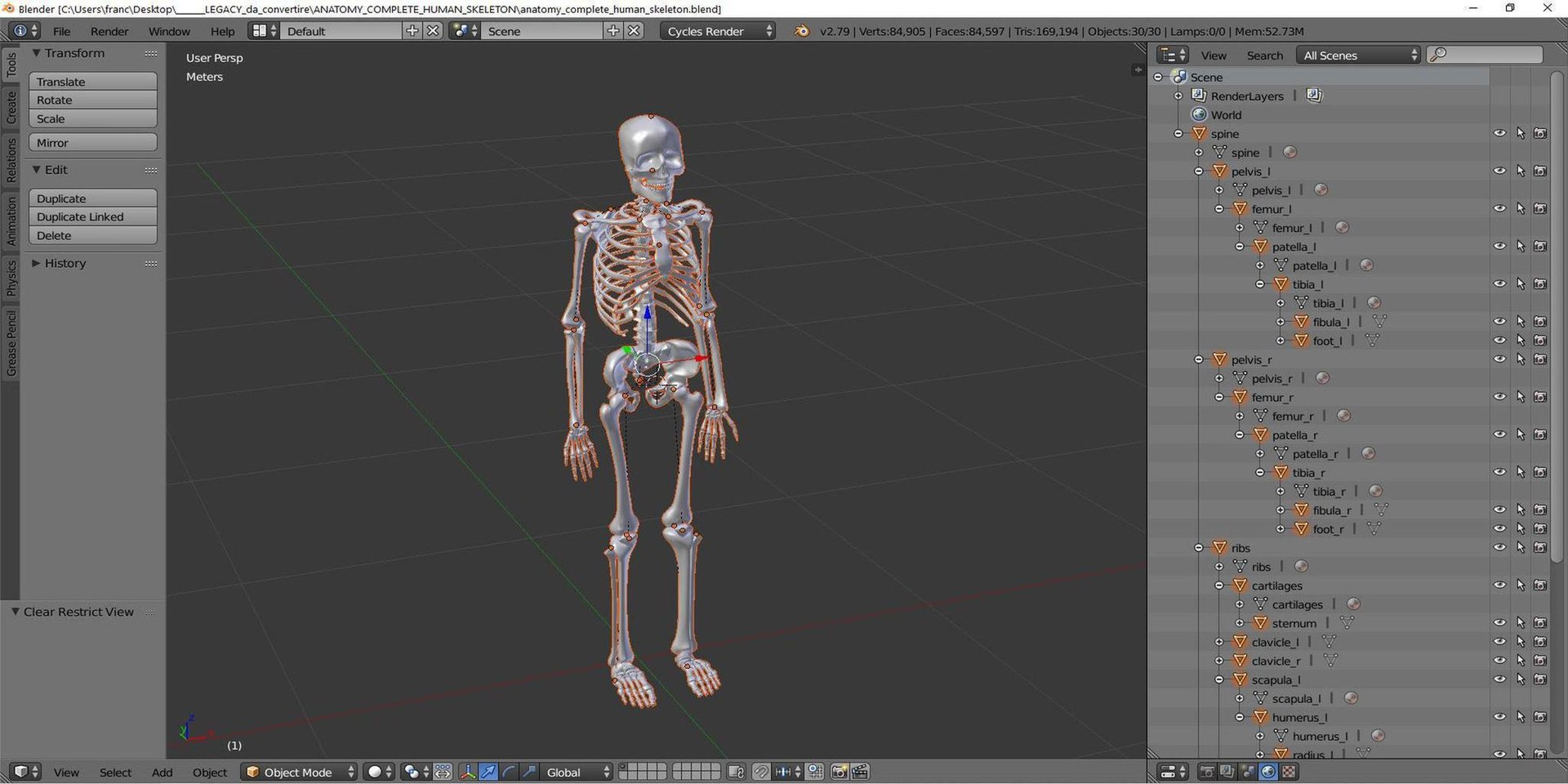 Complete Human Bones Model - TurboSquid 1177789