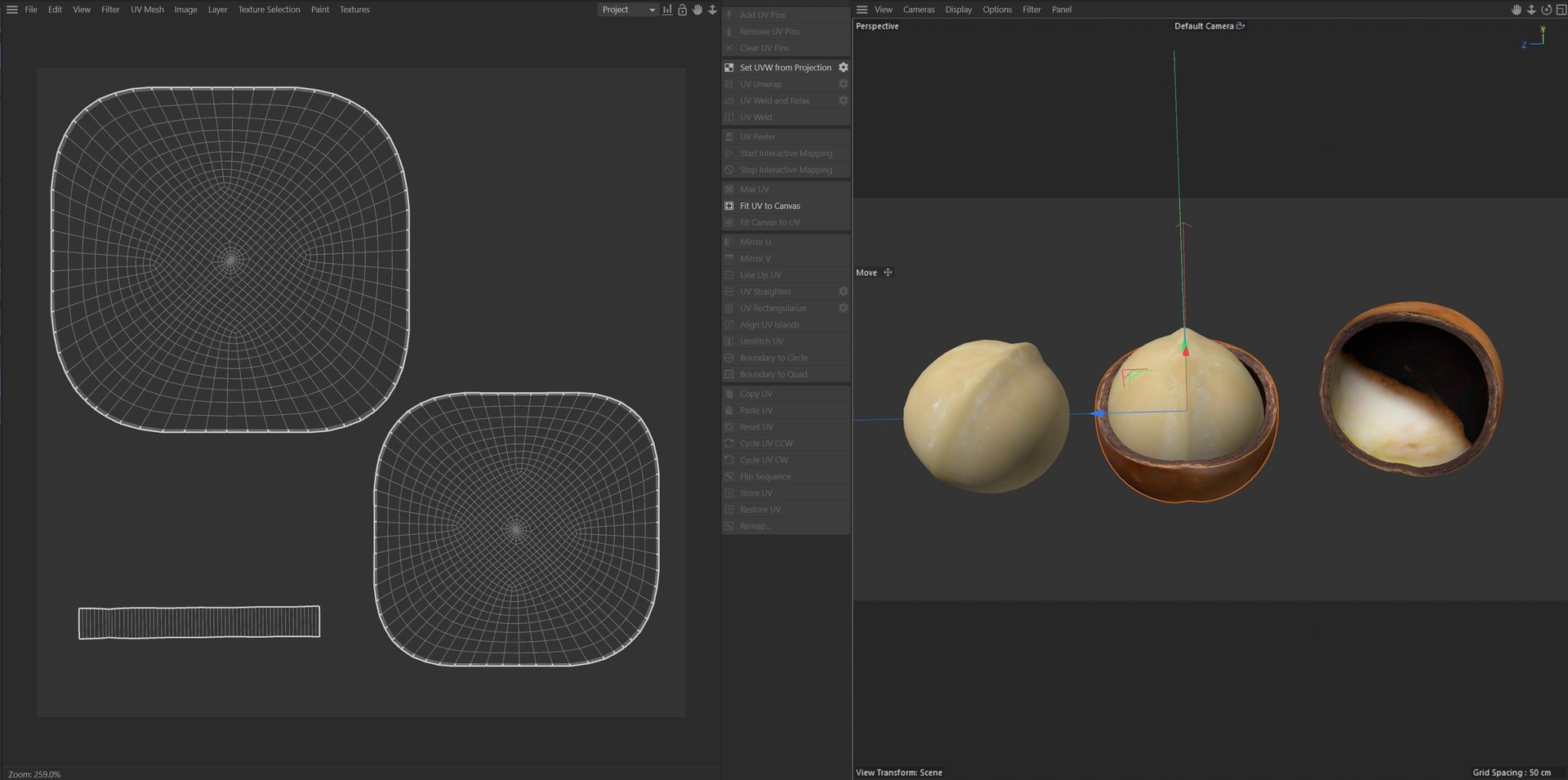 Macadamia Nut Collection 3D Model - TurboSquid 2408165