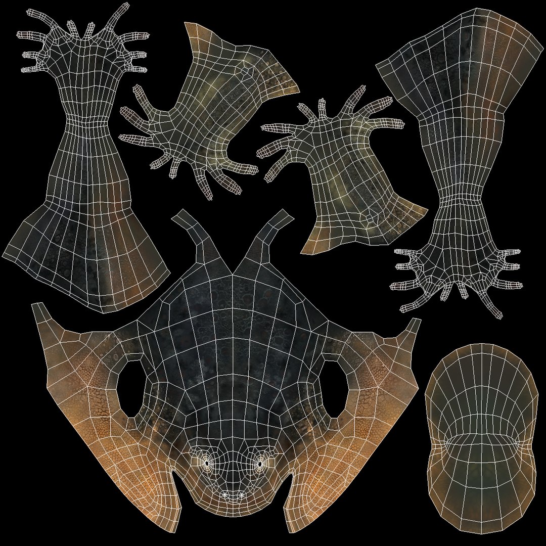 Rigged Frog Animation 3d Max