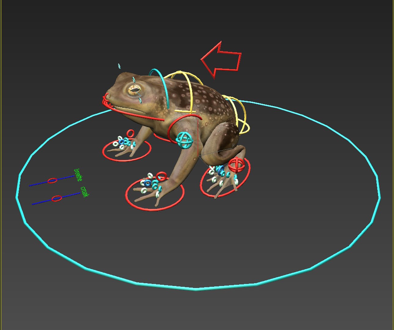Rigged Frog Animation 3d Max