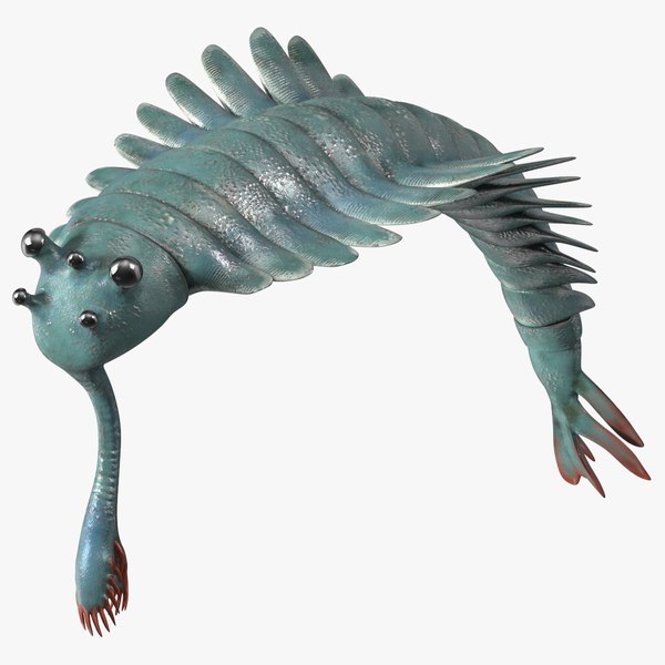 modelo 3d Flip Opabinia Verde - TurboSquid 2177996